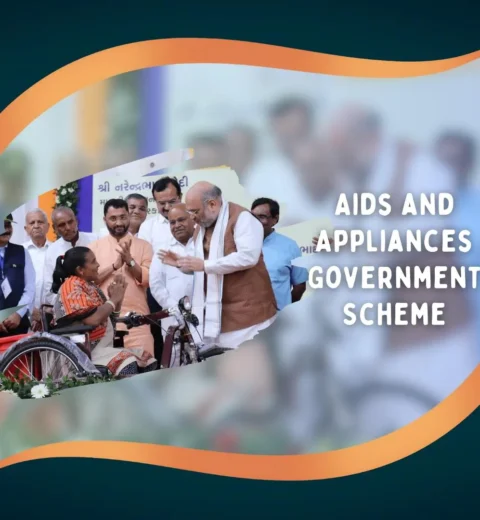 Transforming Lives: Unveiling the Assistance to Disabled Persons for ...